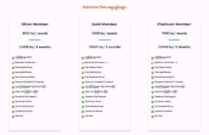 M-Sub Movie သုံးဖို့ ဘယ် Plan က သင့်အတွက် အဆင်ပြေမလဲ ? - M-Sub Movie ...